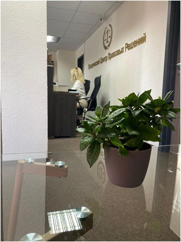 Hukuk büroları Tsentr Pravovykh Resheniy, Minsk, foto