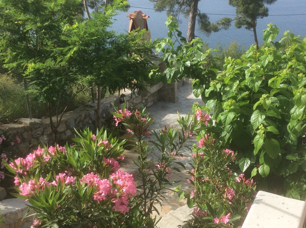 Otel Teras Tepe Apart, Menteşe, foto