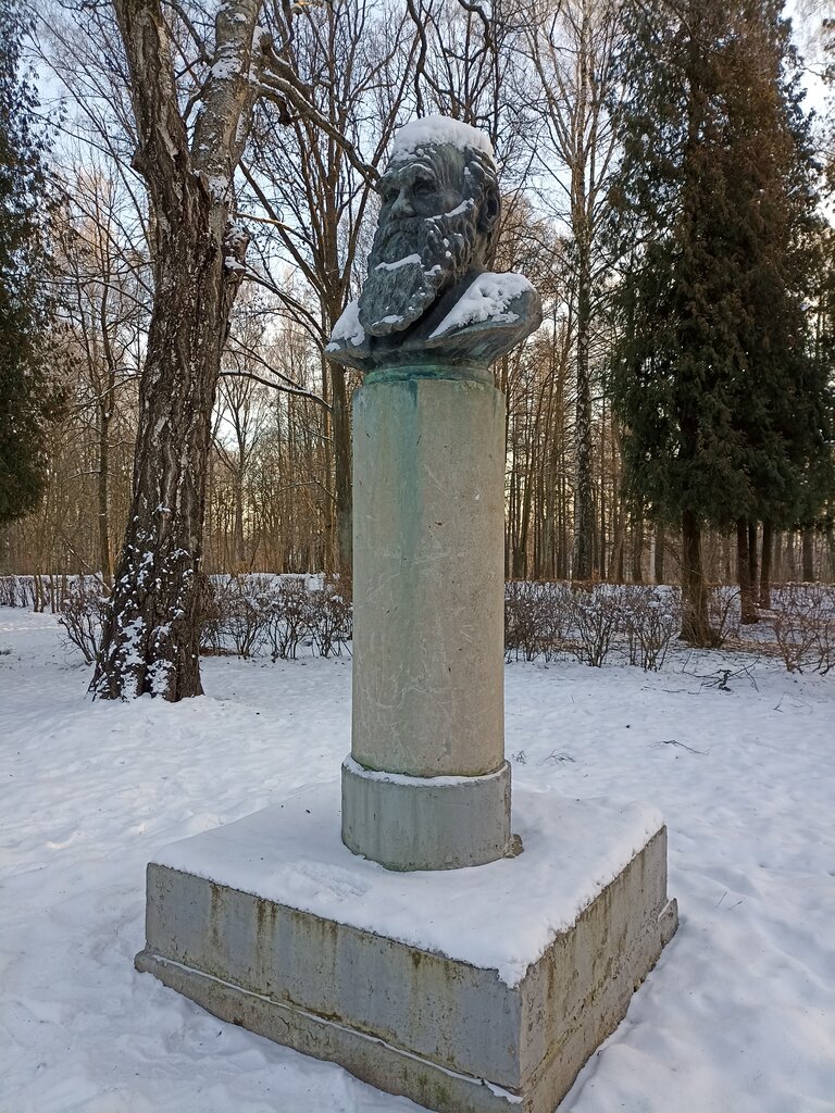 Anıt, heykel Чарльз Дарвин, Saint‑Petersburg ve Leningradskaya oblastı, foto