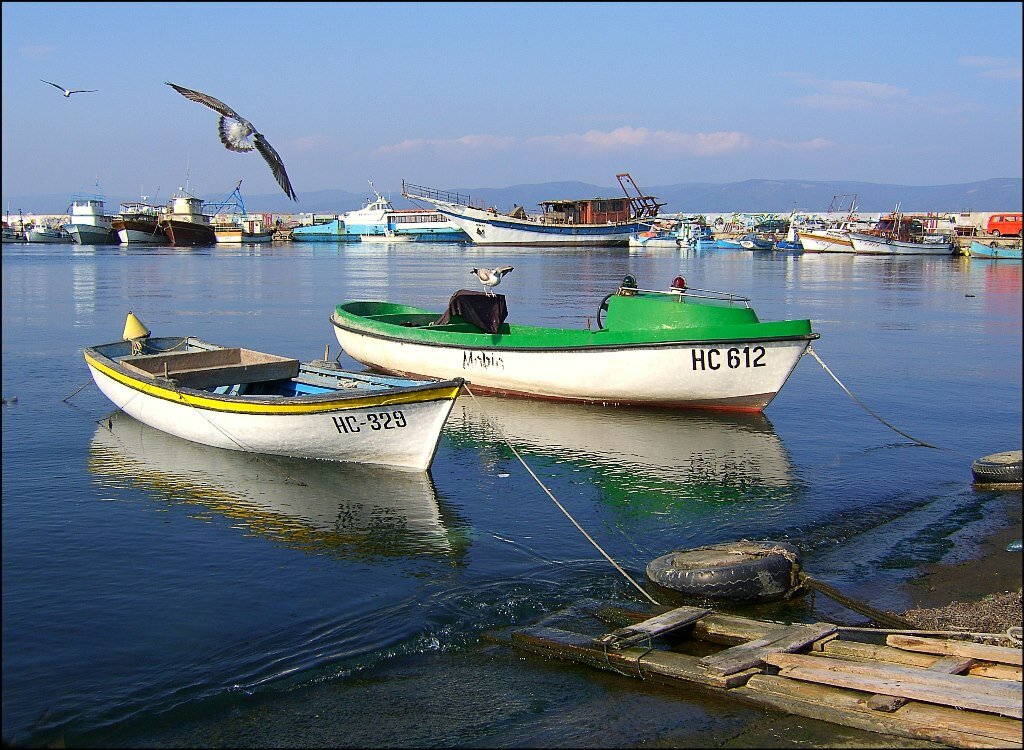 Emlak ofisi Predstavitelstvo kompanii Fort Noks v Moskve, Moskova, foto