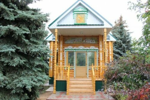 Müzeler ve sanat galerileri Muzey Lesa, Ulyanovskaya oblastı, foto