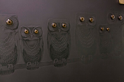 Cam kapılar Magazin dverey Vitro, Saint‑Petersburg, foto