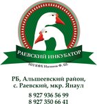 Raevskiy inkubator (Vishnyovaya ulitsa No:2/1, selo Rayevskiy), tarım firmaları  Başkurdistan'dan