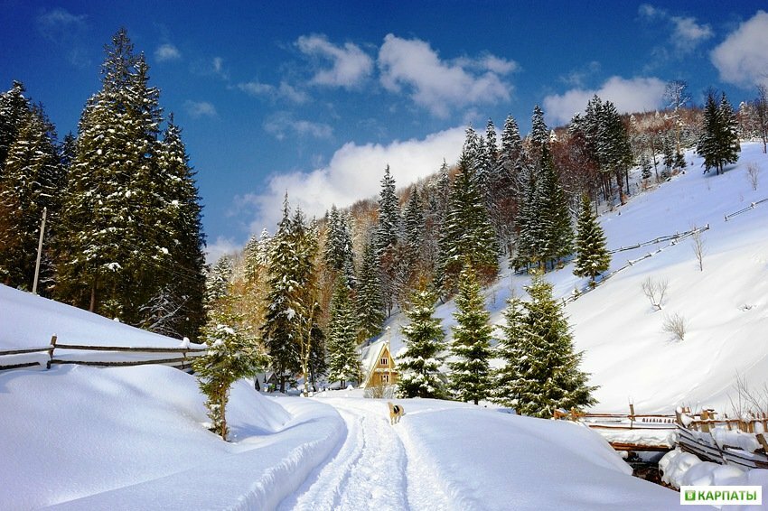Tren istasyonu станция Луг, Zakarpatska oblastı, foto