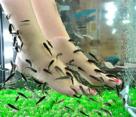 Kuaförler Fish SPA, tsentr esteticheskogo relaksa, Vladivostok, foto