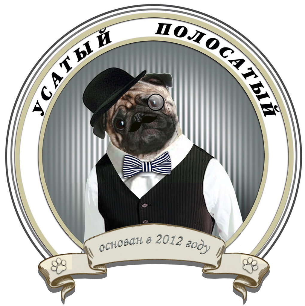 Petshop Usaty Polosaty, Omsk, foto