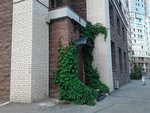 Dental KomplektServis (Zanevskiy Avenue No:32к3, Saint Petersburg), diş sağlığı ekipmanları  Saint‑Petersburg'dan