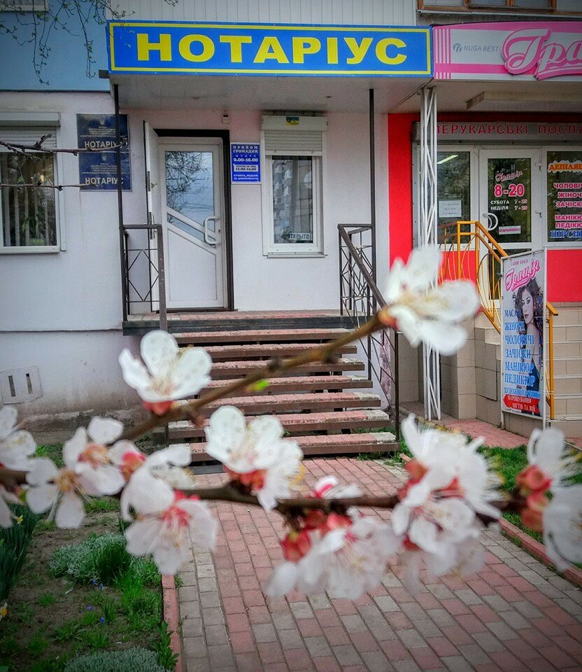 Noterler Notarius Potapenko Yu. S. i Kachan L. L., Kirovograd, foto