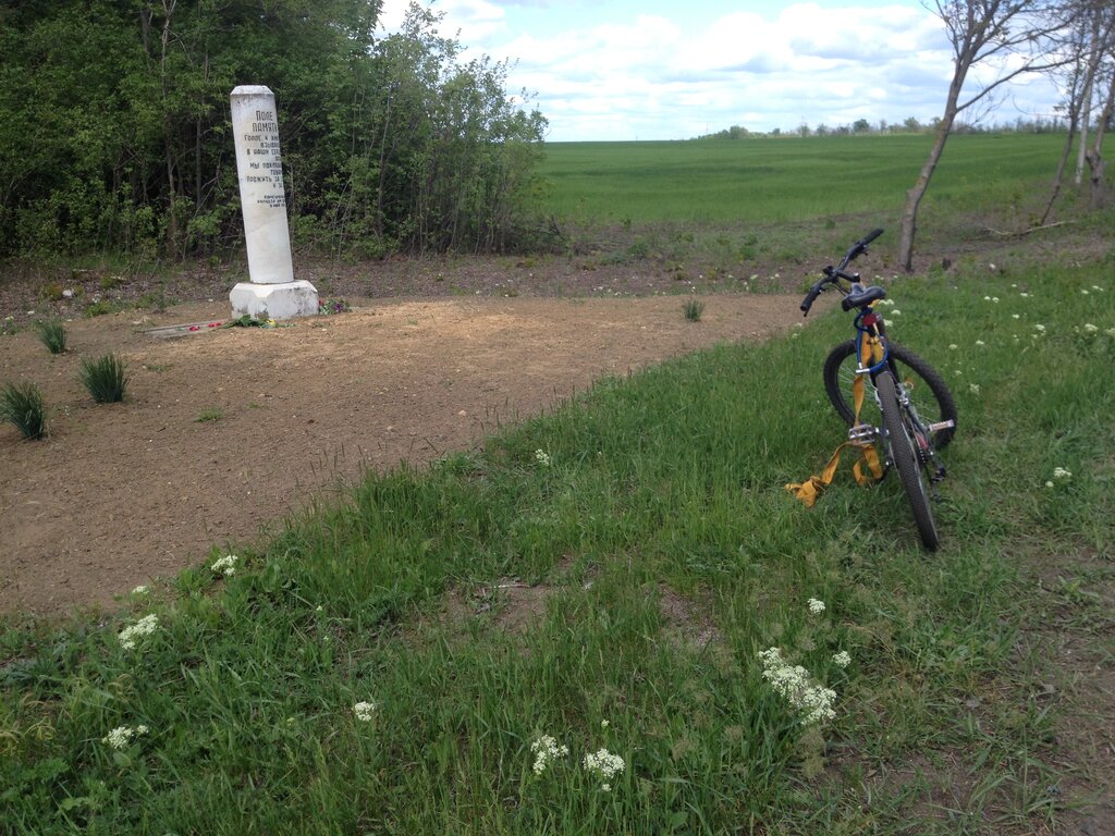 Anıt, heykel Поле боя, Odessa Bölgesi, foto