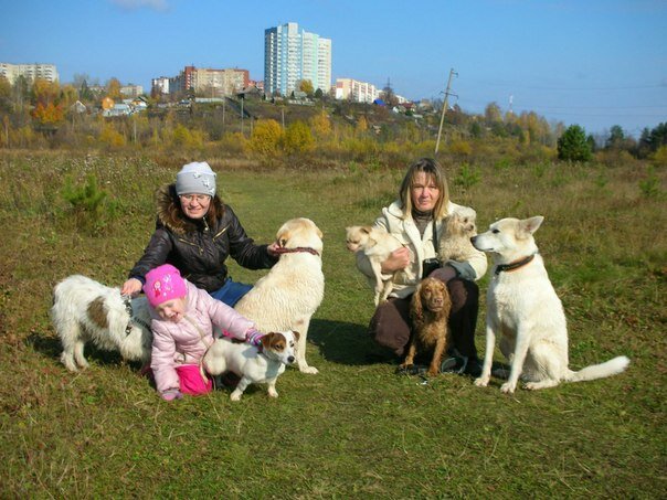 Pet otel Гостиница для животных ЛеДи МаЛиНа, Perm, foto