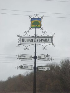 Новая Дубрава (Lipetskiy Municipal District, selo Chastaya Dubrava, kottedzhny posyolok Novaya Dubrava), giriş işareti  Lipetskaya oblastından