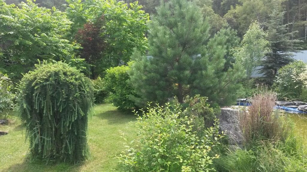 Otel Три атмосферы, Altay Cumhuriyeti, foto