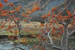 Kyrsay (Republic of Altai, Ulaganskiy rayon, selo Balykcha), tatil köyleri  Altay Cumhuriyeti'nden