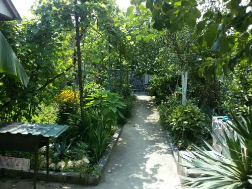 Resort oteller, tesisler Гостевой домъ АэрофлотЪ, Gagra, foto