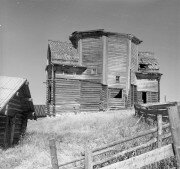 Ortodoks kiliseleri Tserkov Pokrova Presvyatoy Bogoroditsy V Soyale, Arhangelskaya oblastı, foto