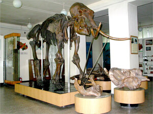 Novosibirsk State Museum of Local Lore (Krasniy Avenue No:23), müzeler ve sanat galerileri  Novosibirsk'ten