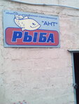Ryba (Pridorozhnaya ulitsa No:10Б, posyolok Probuzhdeniye), balık ve deniz ürünleri  Saratovskaya oblastından