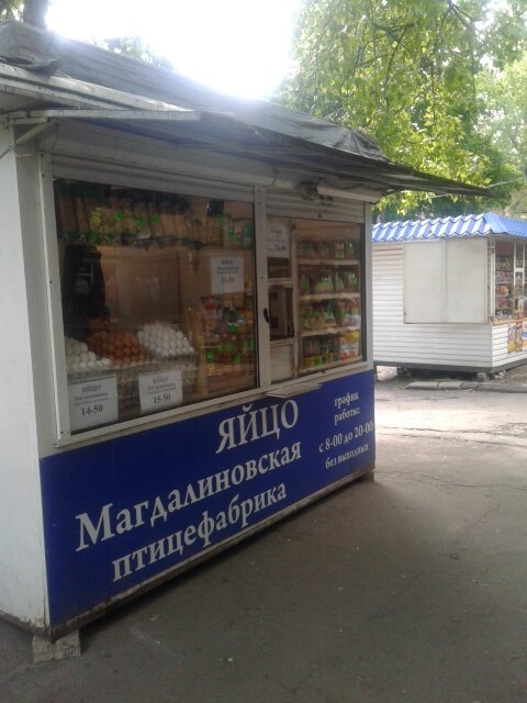 Kanatlı hayvan ürünleri ve yumurta Yaytso Magadanovskaya Ptitsefabrika, Dnepropetrovsk, foto