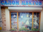 Salon tsvetov (Dnipropetrovska Region, Sinelnikovskiy District, selyshche miskoho typu Ilarionove, Robocha vulytsia), çiçekçiler  Dnepropetrovsk Bölgesi'nden