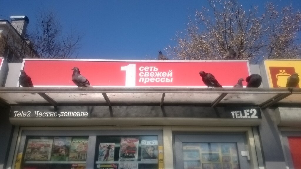 Gazete bayi Tochka prodazhi pressy, Podolsk, foto