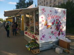 Tsvety (Kostroma, Yuzhnaya Street), çiçekçiler  Kostroma'dan
