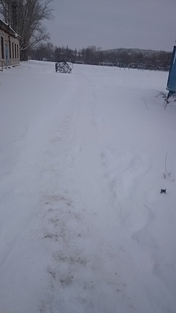 Stadyum Стадион ТРЗ, Orenburg, foto