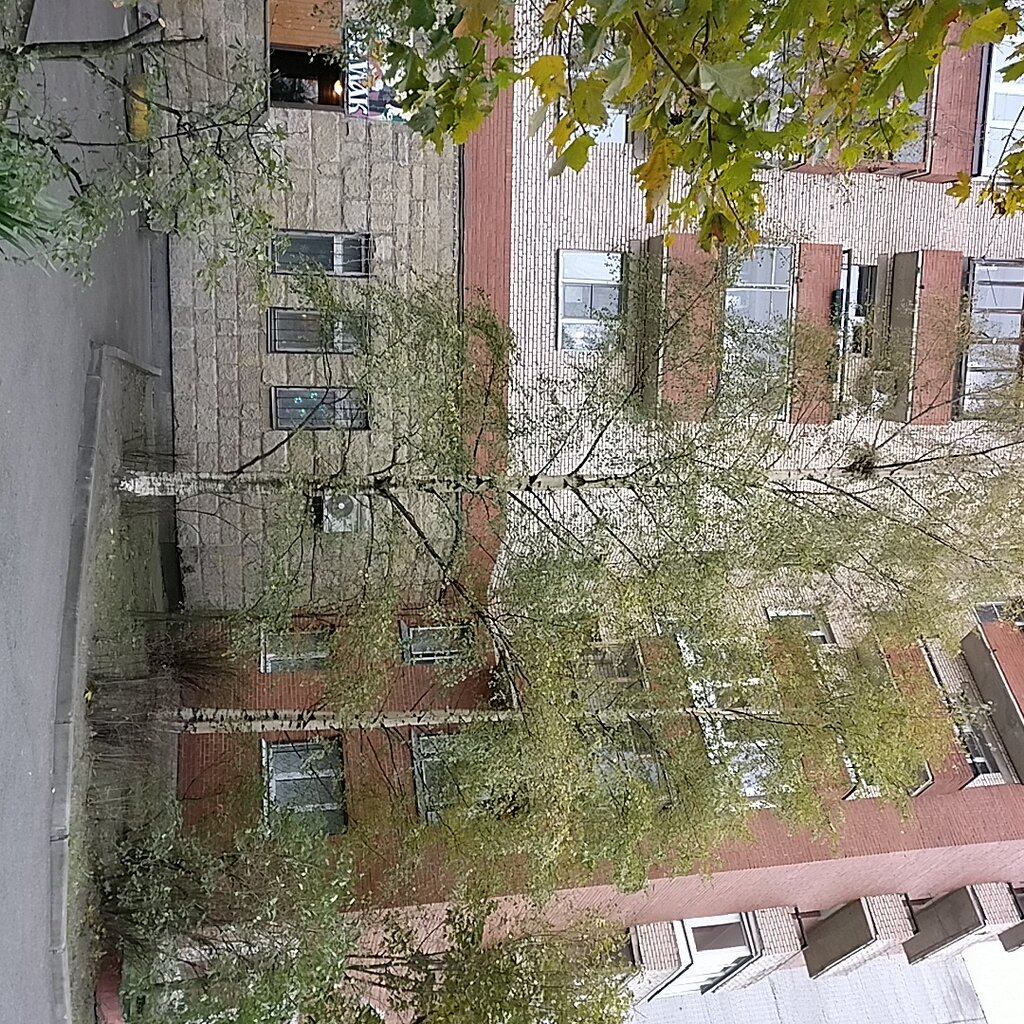 Kafe Ермак, Saint‑Petersburg, foto