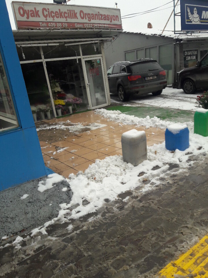 Çiçekçiler Oyak Çiçekçilik, Ankara, foto