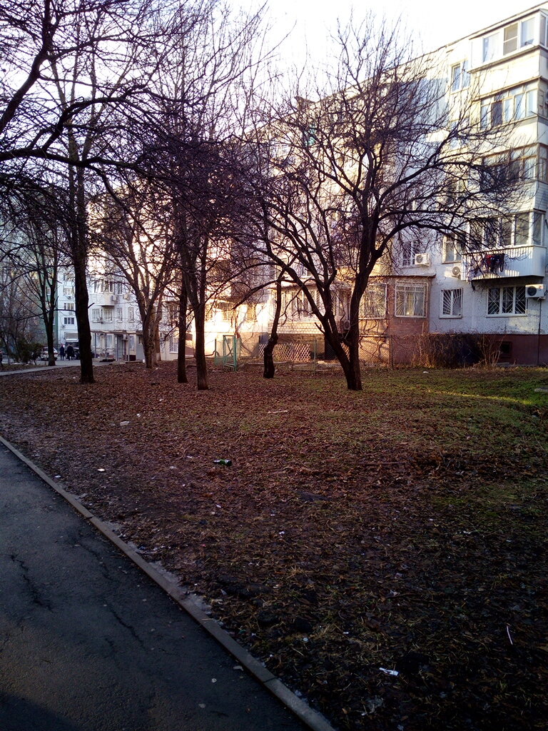 Şehir planlama Upravleniye blagoustroystva Voroshilovskogo rayona goroda Rostov-na-Donu, Rostov‑na‑Donu, foto