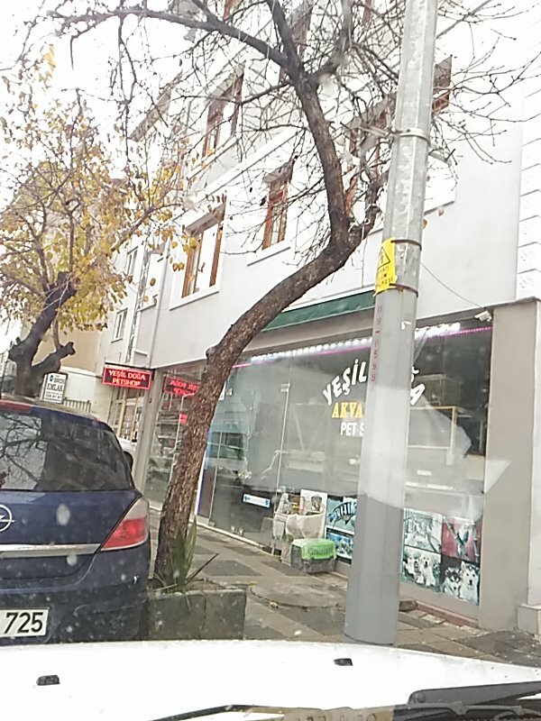 Petshop Yeşil Doğa Akvaryum, İstanbul, foto