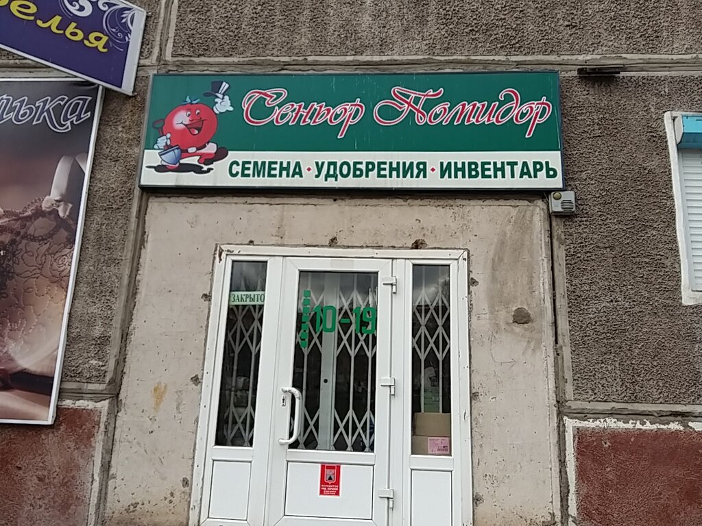 Tohum satan yerler Сеньор Помидор, Magnitogorsk, foto