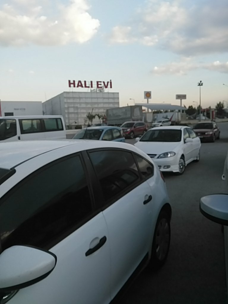 Halı ve halıfleks üretici ve toptancıları Ankara Halı Evi, Ankara, foto