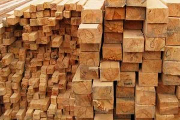 Kerestecilik Pilorama, Divnogorsk, foto