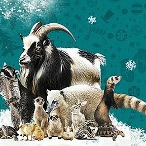 Hayvanat bahçeleri Ruchnoy zoopark, Tiumen, foto