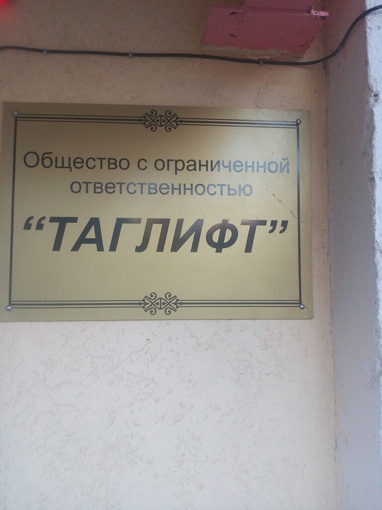 Asansörler, asansör ekipmanları Taglivt, Taganrog, foto