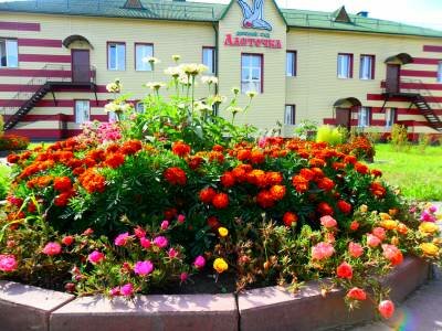 Anaokulları Detsky sad № 29, Prokopyevsk, foto