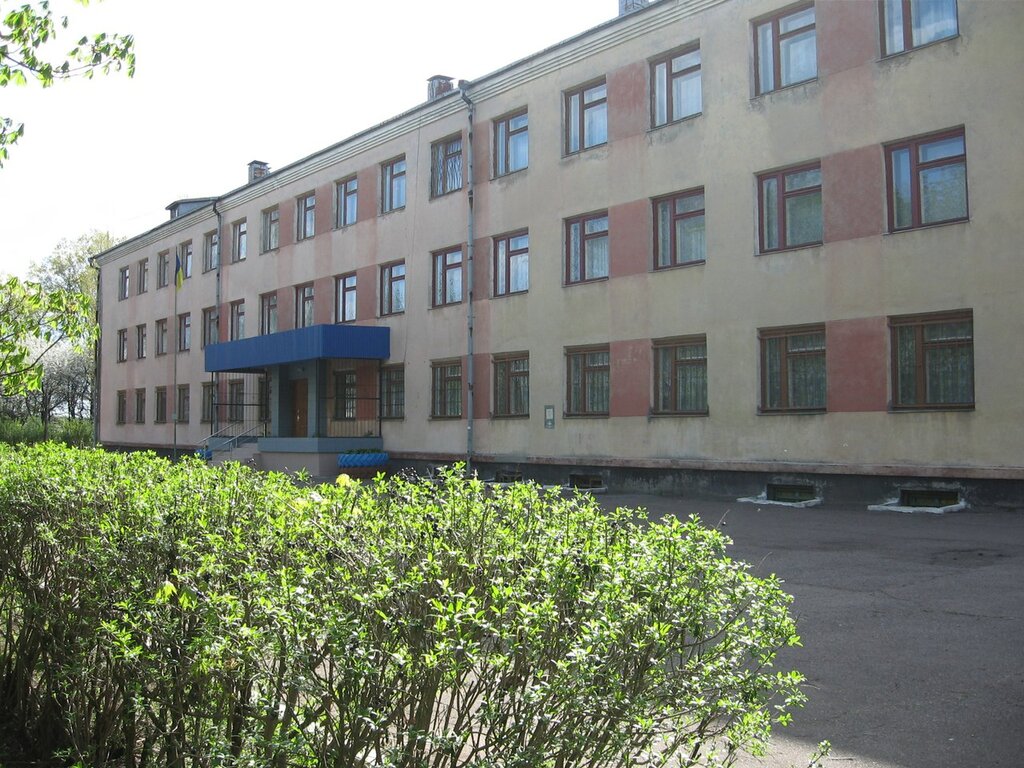 Lise Великодолинский УВК Общеобразовательная школа I-III ступеней-лицей, Odessa Bölgesi, foto