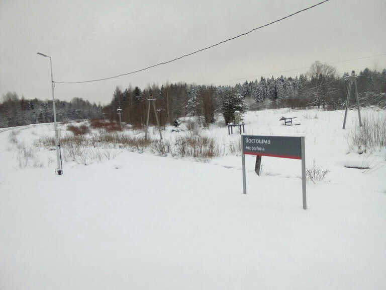 Tren istasyonu остановочный пункт Востошма, Kostromskaya oblastı, foto