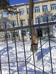 Средняя общеобразовательная школа № 6 (ulitsa Ryabukha No:59, Dalnerechensk), ortaokul  Dalnorechensk'ten