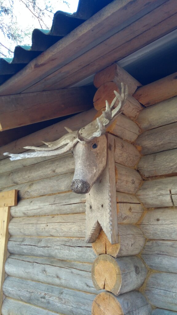 Tatil altyapısı Изба Олений бор, Karelya, foto