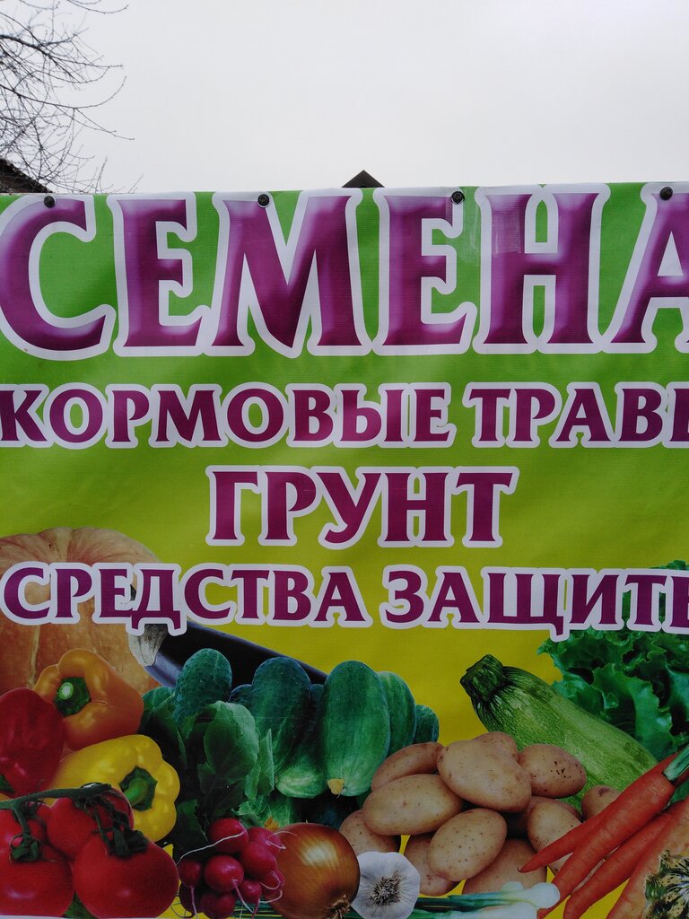 Ev eşyası mağazaları Сад огород дом, Morozovsk, foto