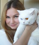 Cattery British Cat Wonder-Plush (Ozyornaya Street No:19к1), evcil hayvan yetiştiricileri  Moskova'dan