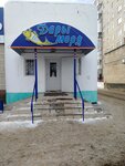 Дары моря (prospekt Pobedy No:1/04а), balık ve deniz ürünleri  Zainsk'ten (Zey'den)