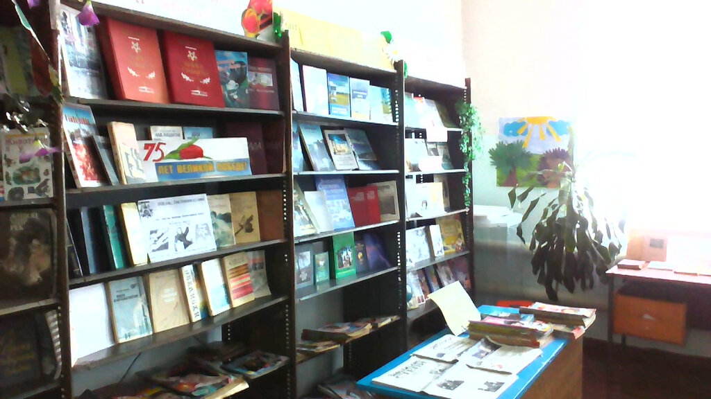 Kütüphaneler Подшибаловская сельская библиотека, Saratovskaya oblastı, foto