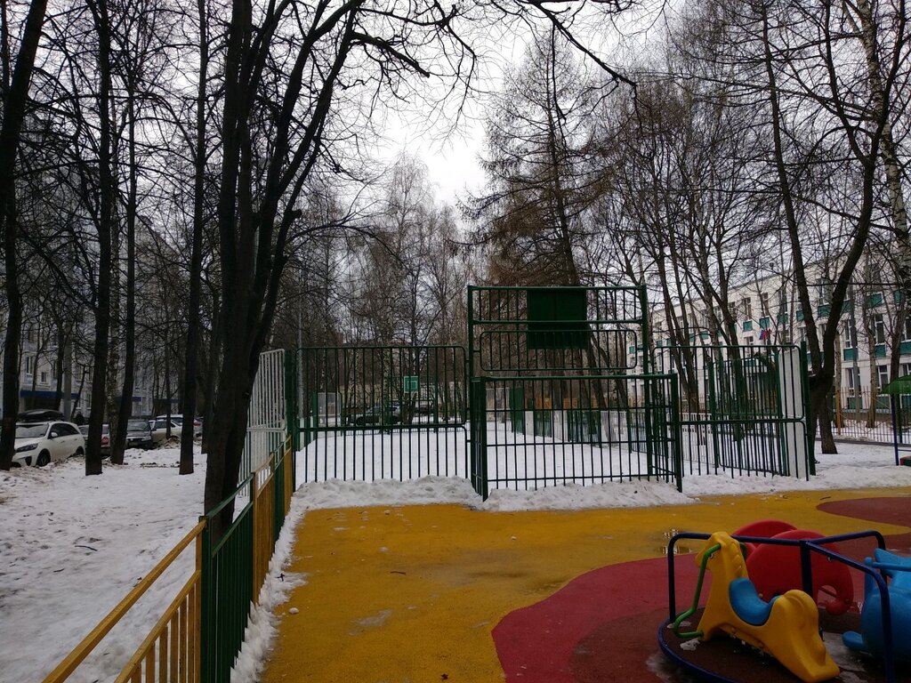 Spor alanı Dvorovaya territoriya, Moskova, foto