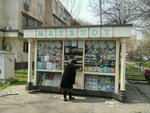 Press (Tashkent, Amir Temur Avenue), gazete bayi  Taşkent'ten
