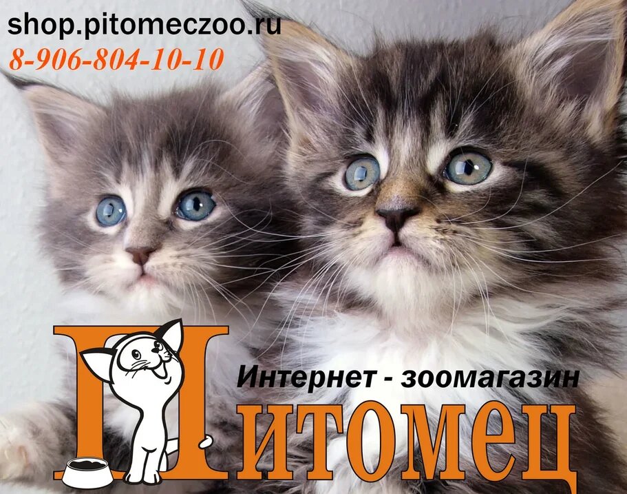 Petshop Pitomec, Yekaterinburg, foto