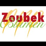 Zoubek Blumen (Langenlebarner Straße No:58, Tulln an der Donau), çiçek teslimatı  Aşağı Avusturya'dan