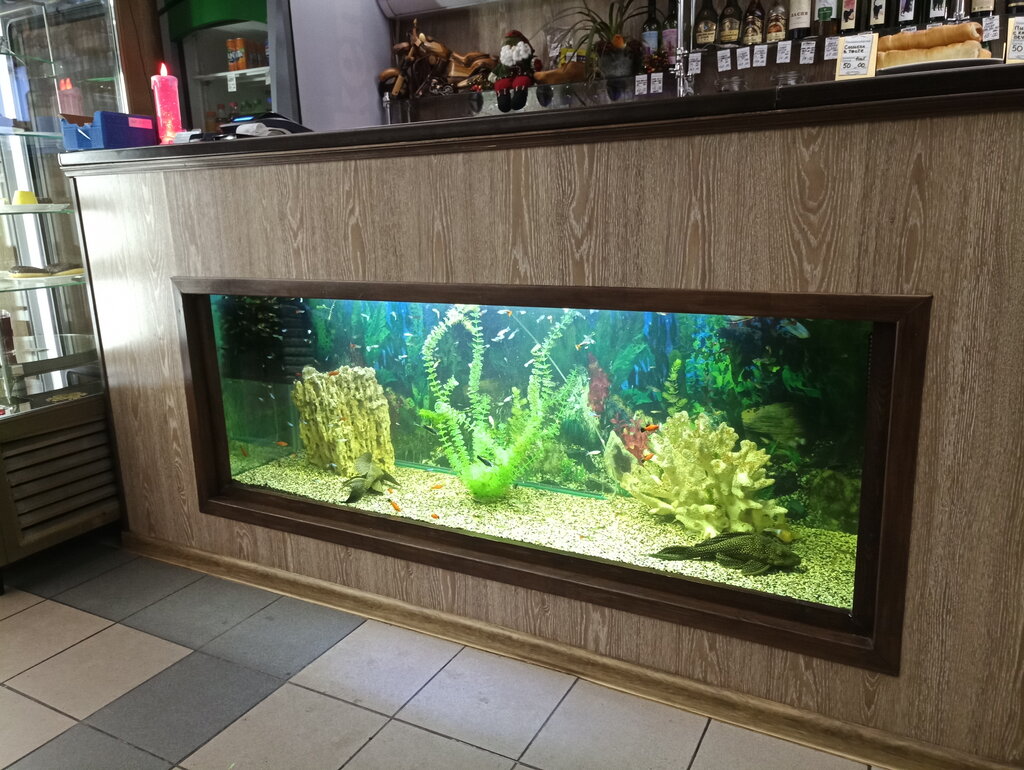 Kafe Akvarium, Saint‑Petersburg ve Leningradskaya oblastı, foto