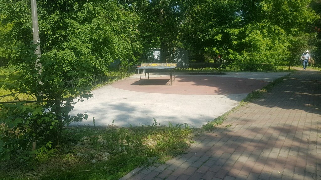 Spor alanı Столы для настольного тенниса, Saint‑Petersburg, foto